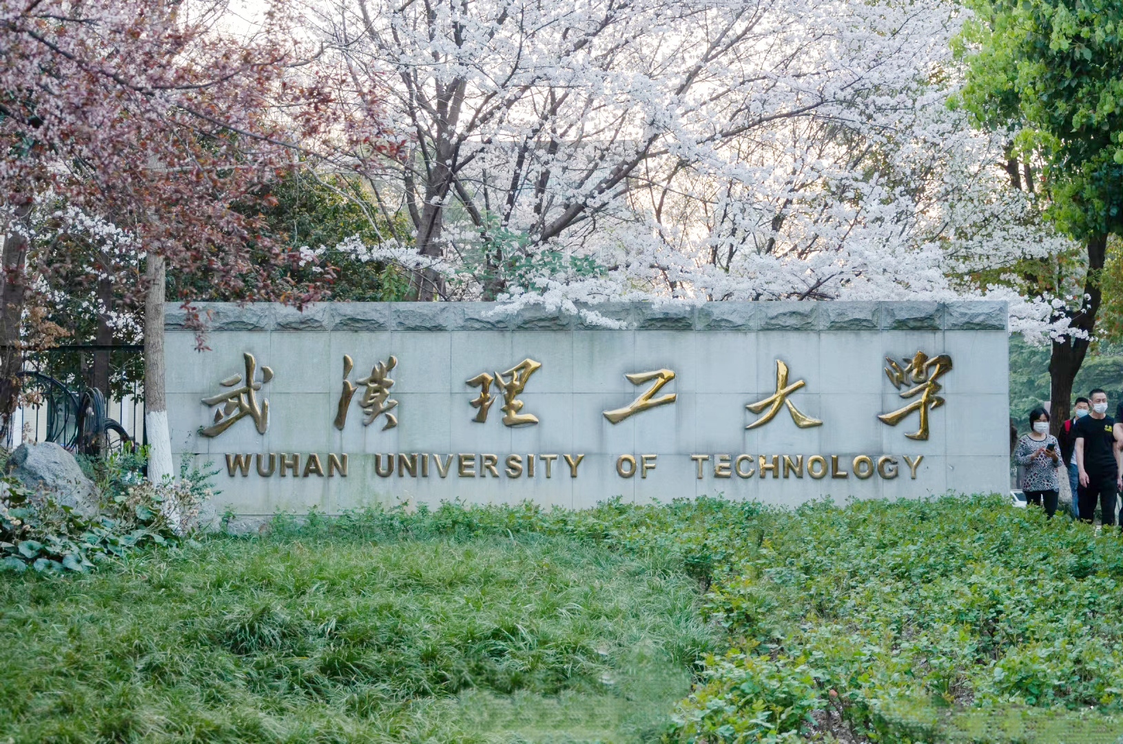 yong's Group – Research Group of Professor Liu Yong from Wuhan University of Technology